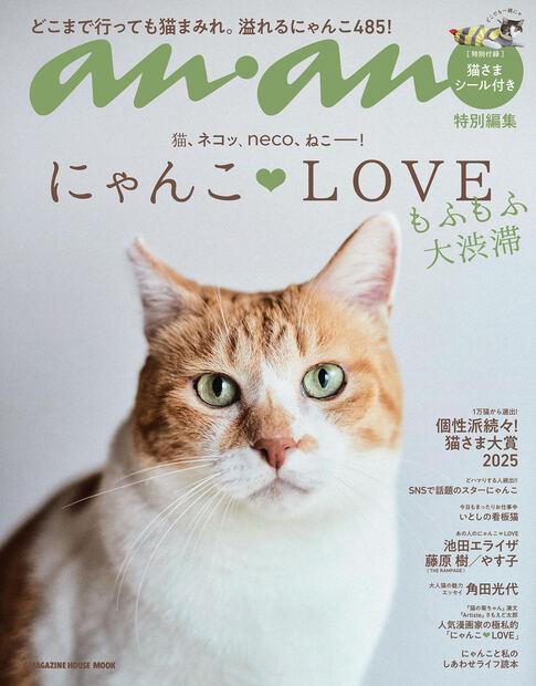 皆さんのにゃんこ写真を待っています！ anan「にゃんこLOVEムック・猫さま大賞2026」大募集 | ビューティー、ファッション、エンタメ、占い…最新情報を毎日更新 | ananweb