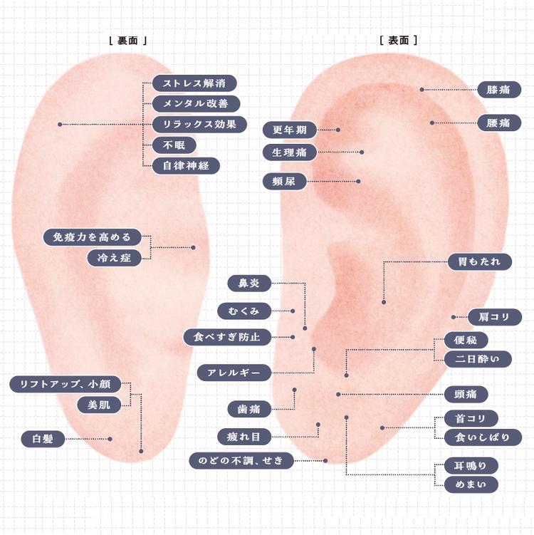 ウェルネスの記事一覧 | ビューティー、ファッション、エンタメ、占い…最新情報を毎日更新 | ananweb