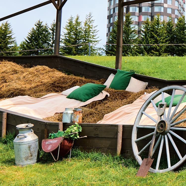 北の大地の緑と雲海を目指して。夏の北海道、トマムの旅「星野リゾート トマム」 | ビューティー、ファッション、エンタメ、占い…最新情報を毎日更新 | ananweb