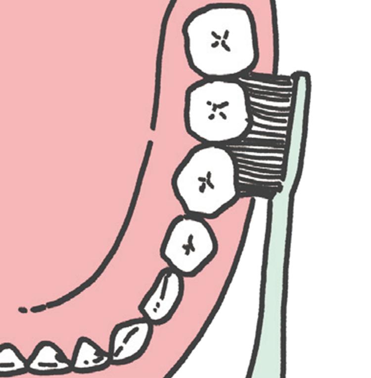 【オーラルケア】歯間と歯茎を意識したケアが口内環境を改善するカギに | ビューティー、ファッション、エンタメ、占い…最新情報を毎日更新 | ananweb