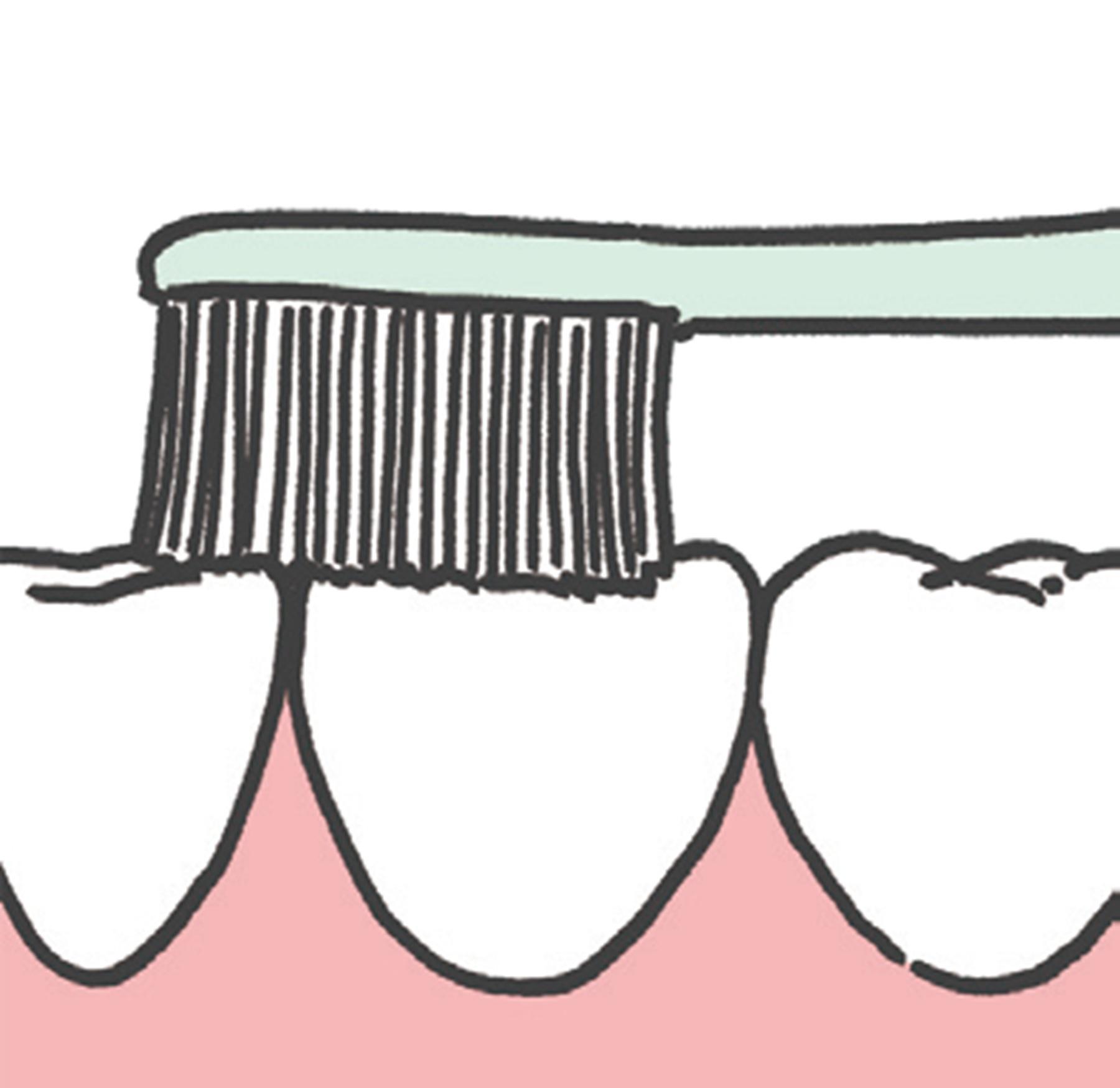【オーラルケア】歯間と歯茎を意識したケアが口内環境を改善するカギに | ビューティー、ファッション、エンタメ、占い…最新情報を毎日更新 | ananweb