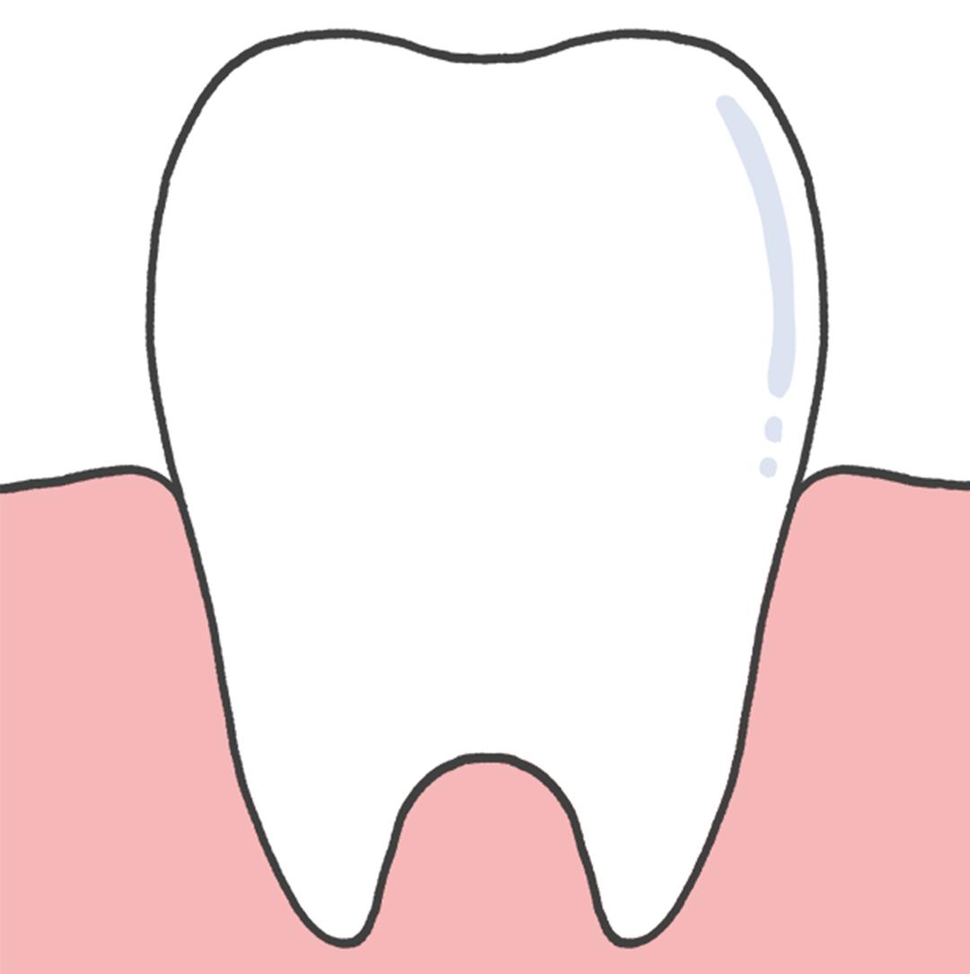 【オーラルケア】歯間と歯茎を意識したケアが口内環境を改善するカギに | ビューティー、ファッション、エンタメ、占い…最新情報を毎日更新 | ananweb