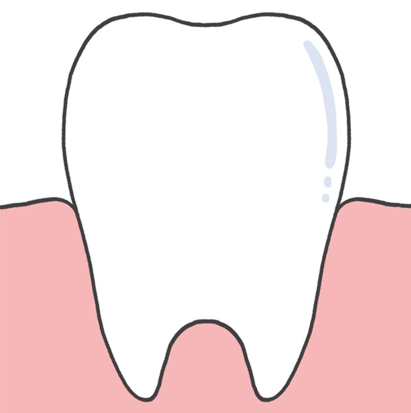【オーラルケア】歯間と歯茎を意識したケアが口内環境を改善するカギに | ビューティー、ファッション、エンタメ、占い…最新情報を毎日更新 | ananweb