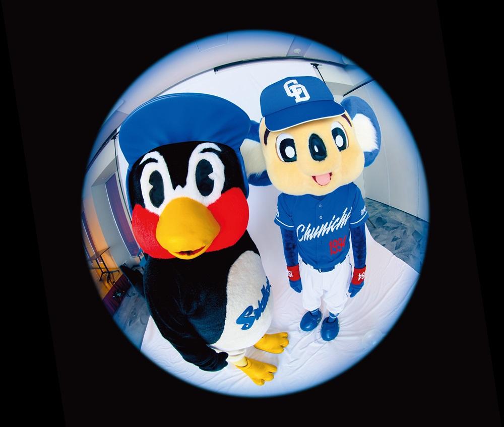 No.2413 The TEAM 2024 | ビューティー、ファッション、エンタメ、占い…最新情報を毎日更新 | ananweb